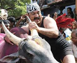 Kombula Poova Suthi Song Lyrics