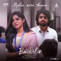 Kavan Song Lyrics - Bachelor