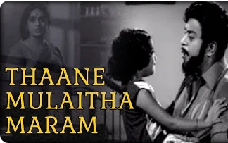 Thaane Mulaitha Maram Song Lyrics - Itho Enthan Deivam Film